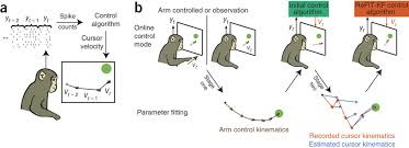 Informática Educativa Carlosfmur@gmail.com: online algorithm (computer ...