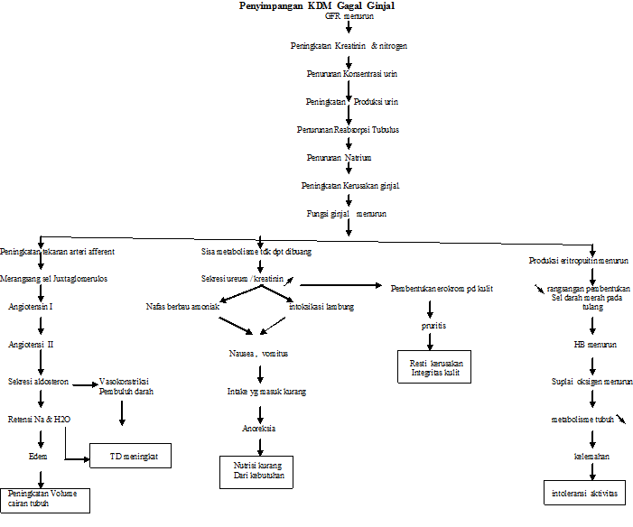 PATOFLOW: PATOFLOW GAGAL GINJAL