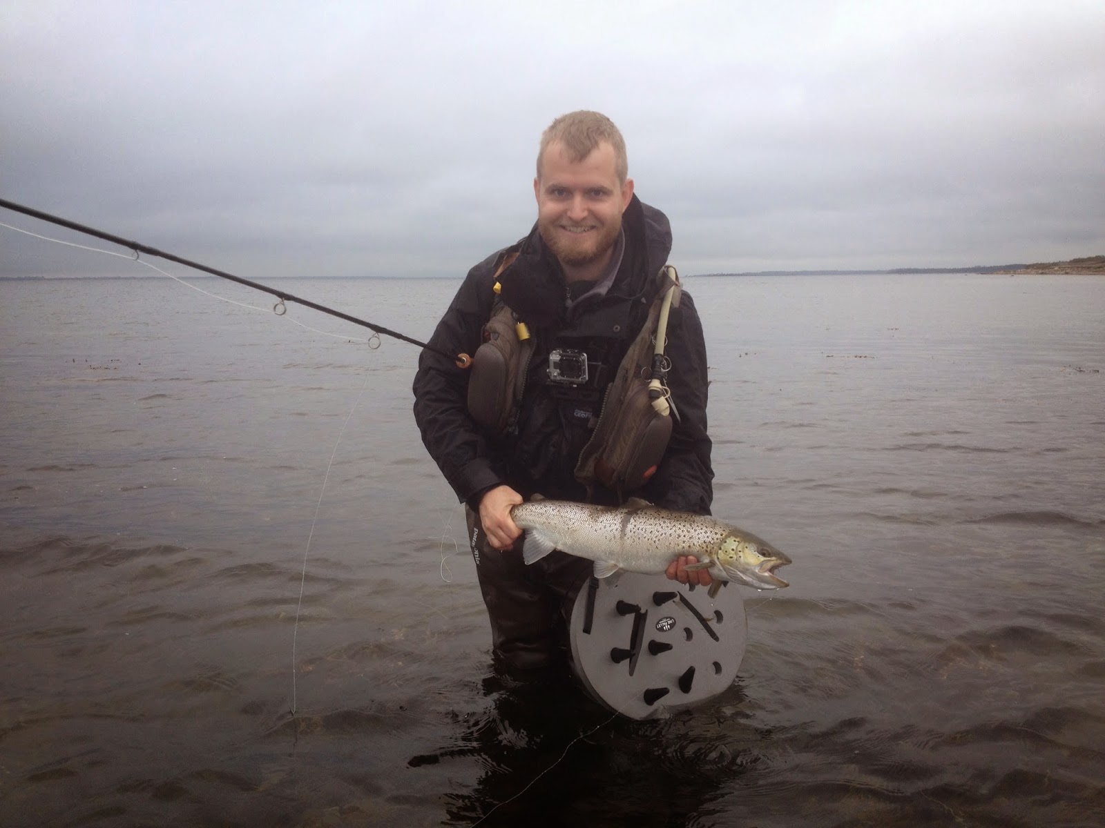 November 2014 Fish of the Month Entry - Baltic Sea Trout!