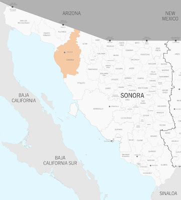 Notable Figures: Caborca Cartel, Los Gigio, Los Olivas, La Plaza ...