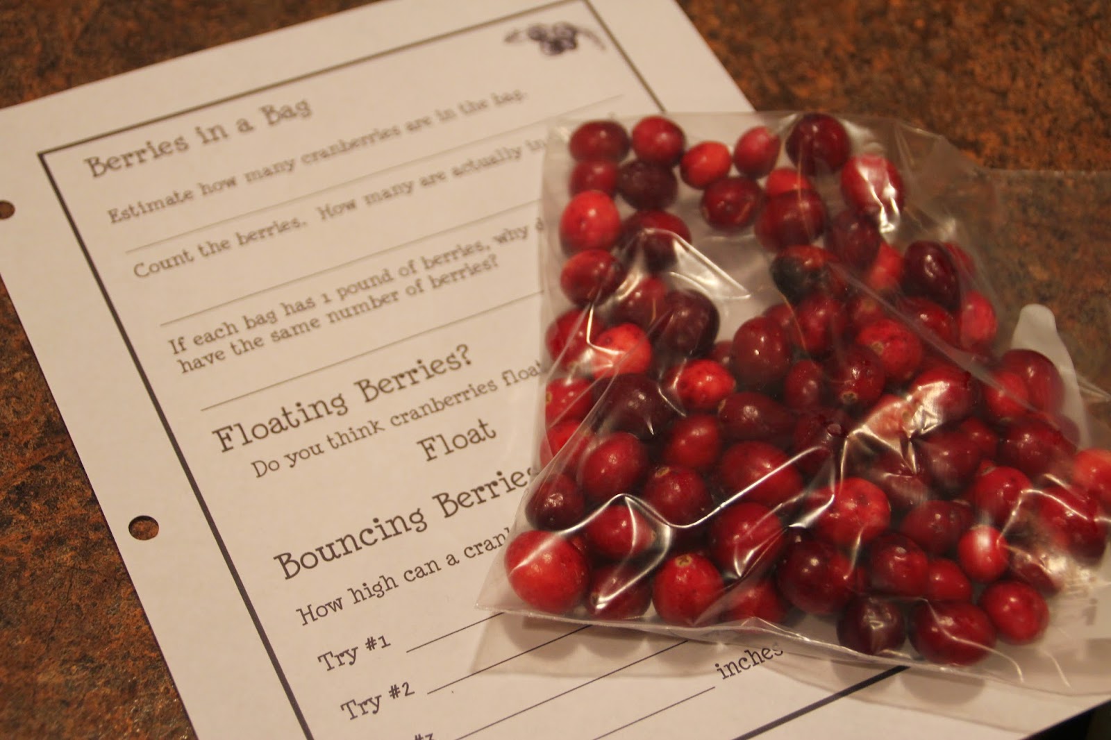 driving with the windows wide open: FIAR: Cranberry Thanksgiving over ...