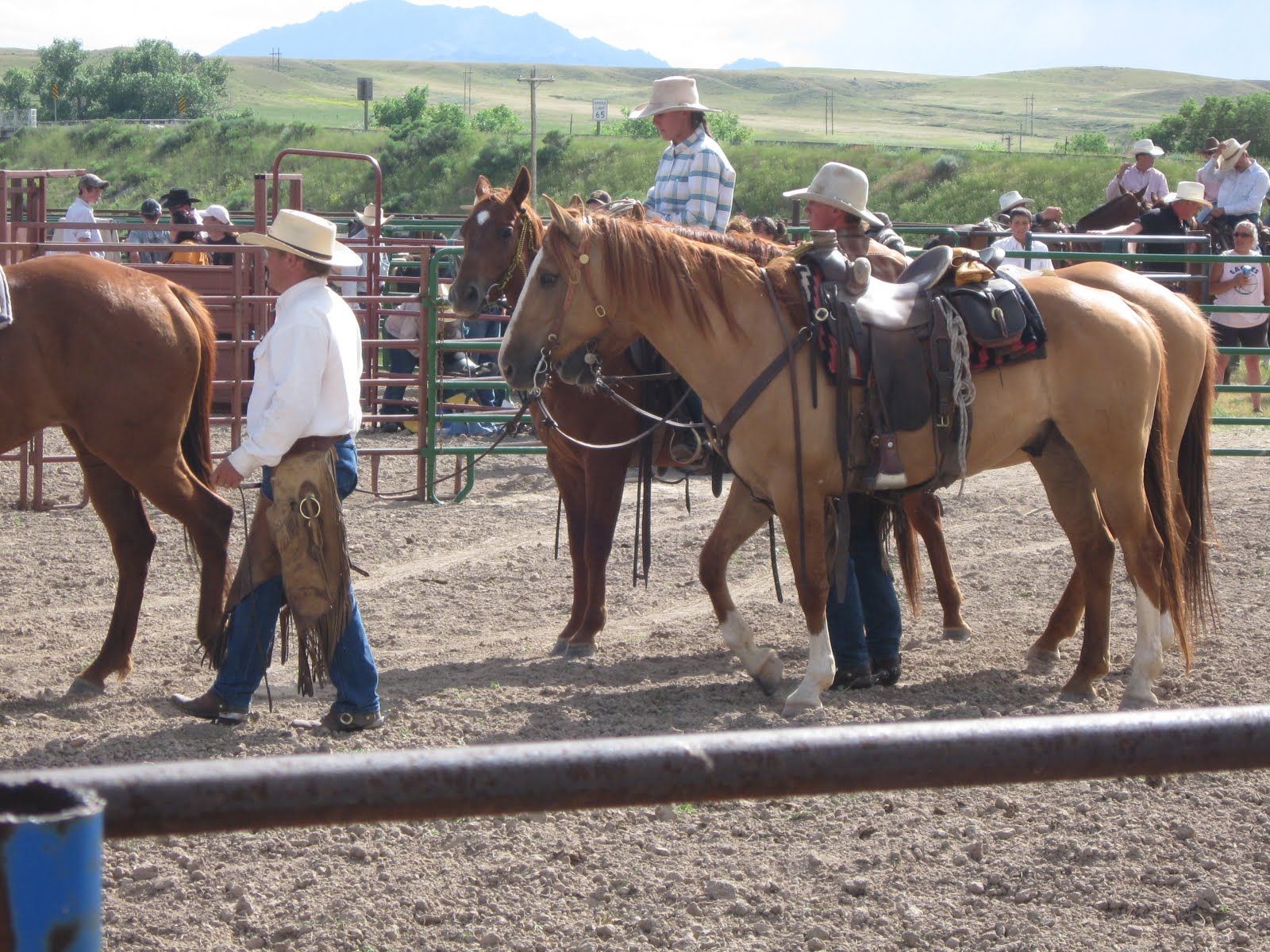Ranch Rodeo. - A Ranch Mom