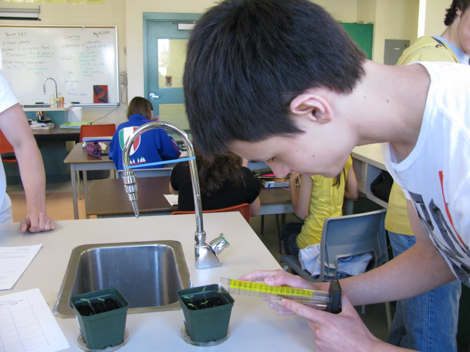 Eureka! Hands-On Minds-On Science: Conducting the Tomatosphere Project ...