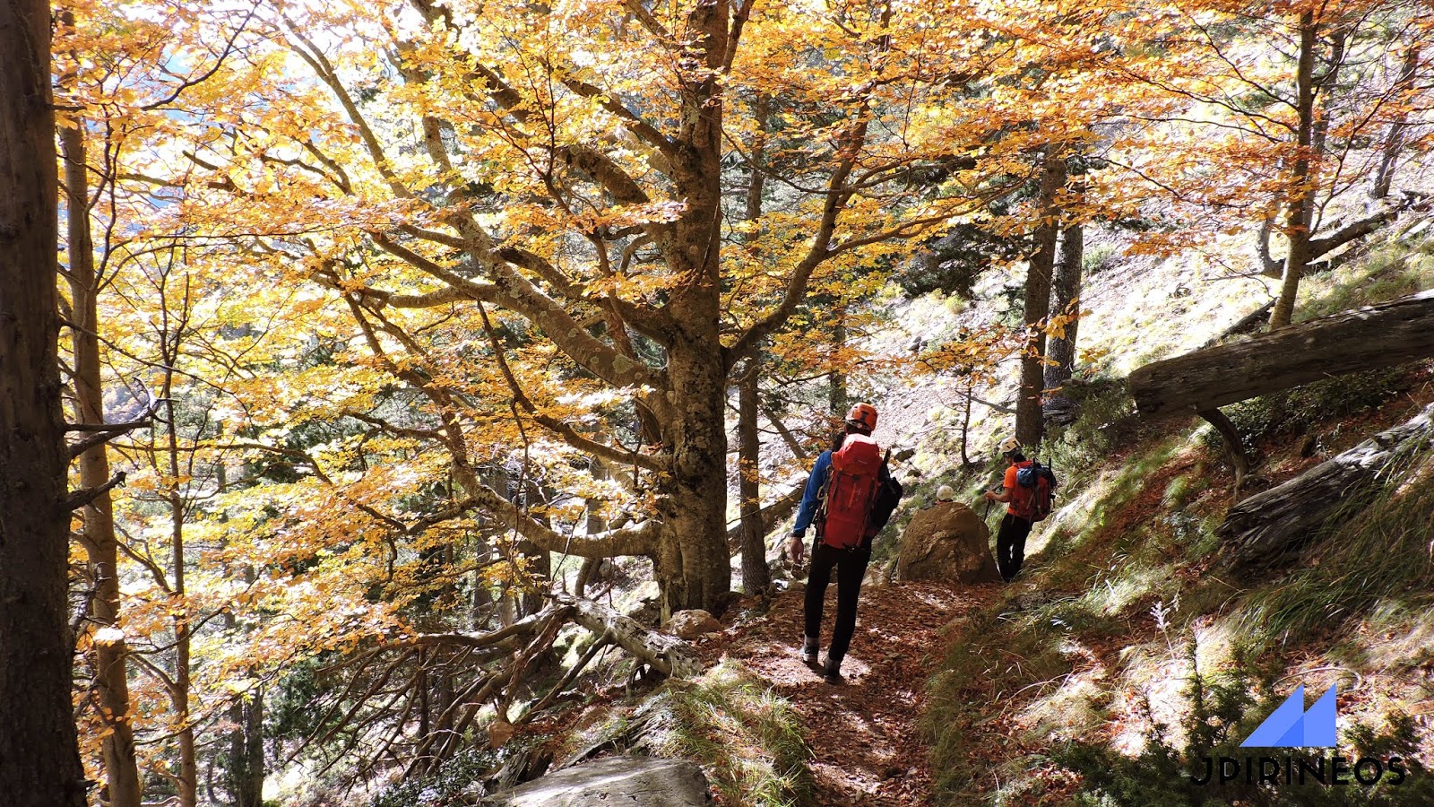 Faja Racón y circo de Cotatuero (clavijas) desde la Pradera de Ordesa