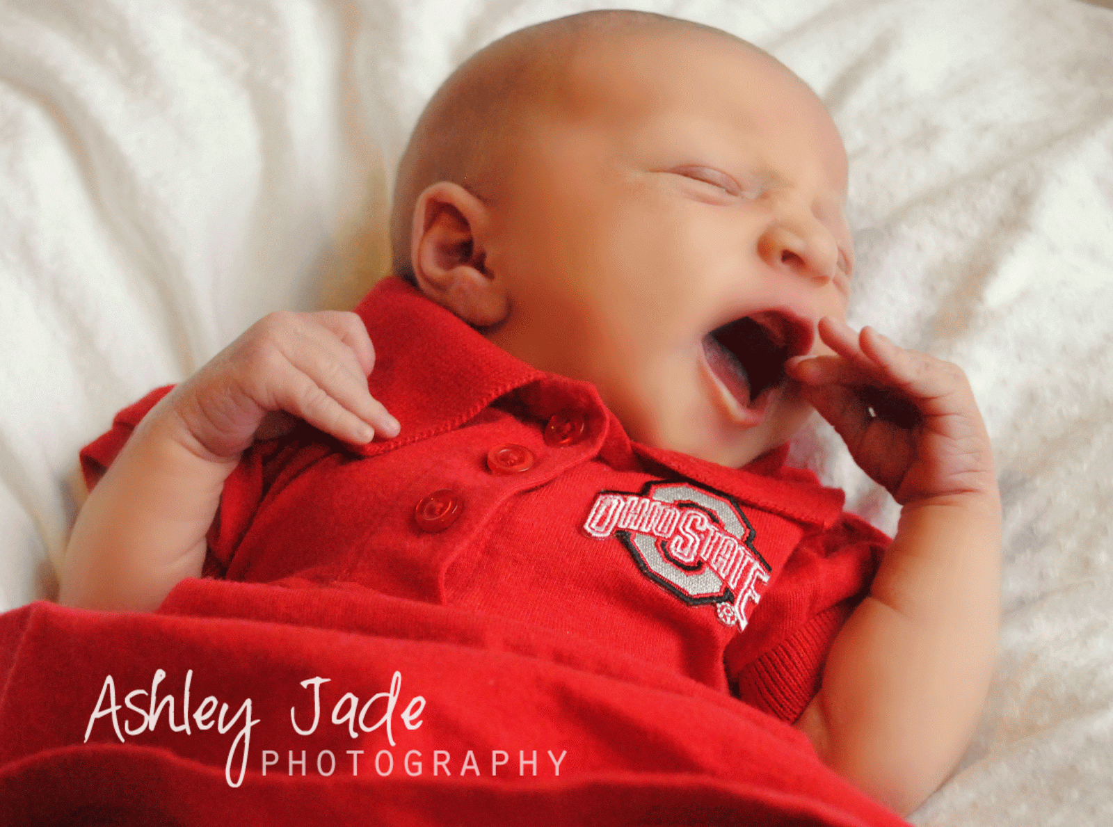 Ashley Jade Photography: Stump Baby