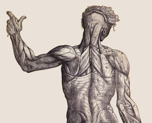 Biology Gyaan: 15 Human Biology Basics Everyone Should Know-