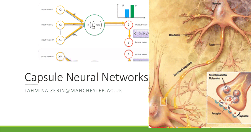 Capsule Neural Networks