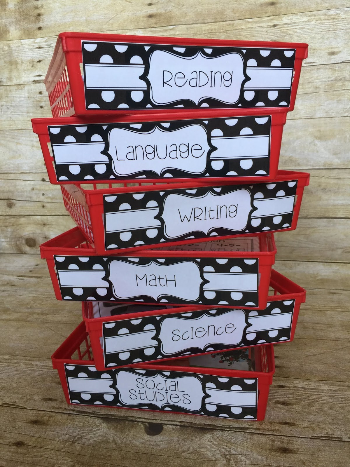 Teaching With Terhune: Editable Classroom Labels