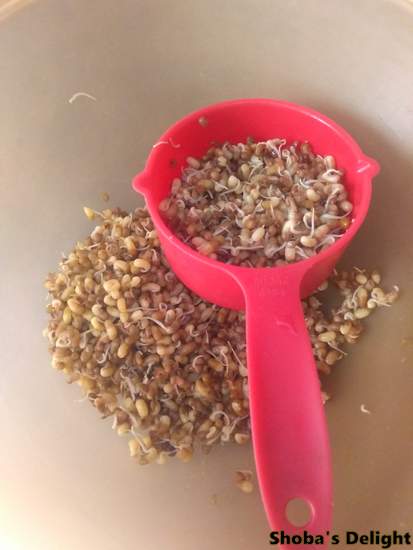 Shoba's Delight: Sprouted Matki or Moth Beans Salad