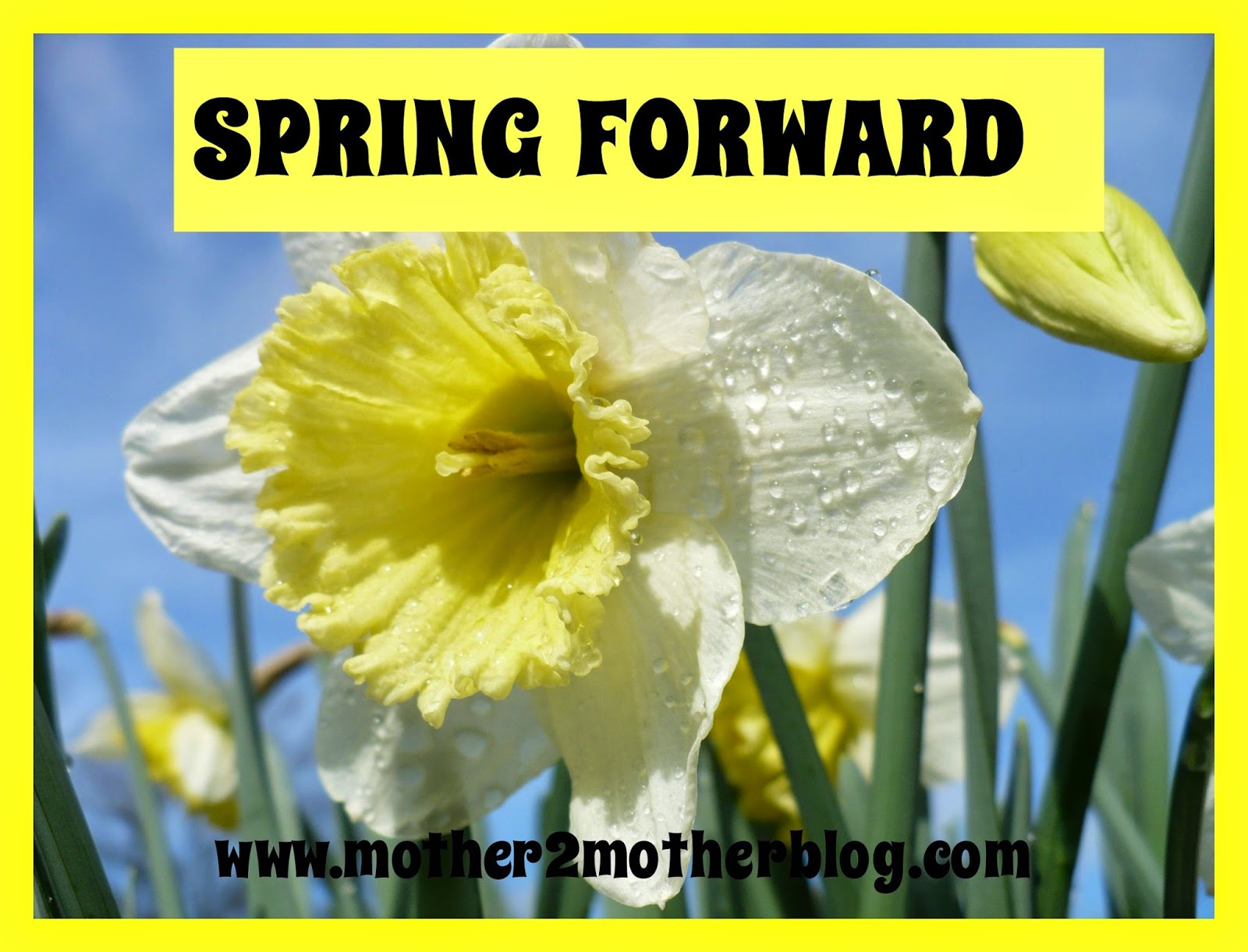 Red Sox Foot Print & Sunday's Best Link-Up #11 – The Pinterested Parent