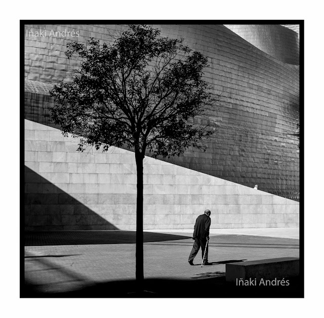 Iñaki Andrés: Tree.