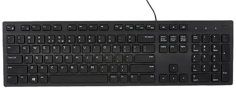 Computer - Input Devices ~ Digital Scroller