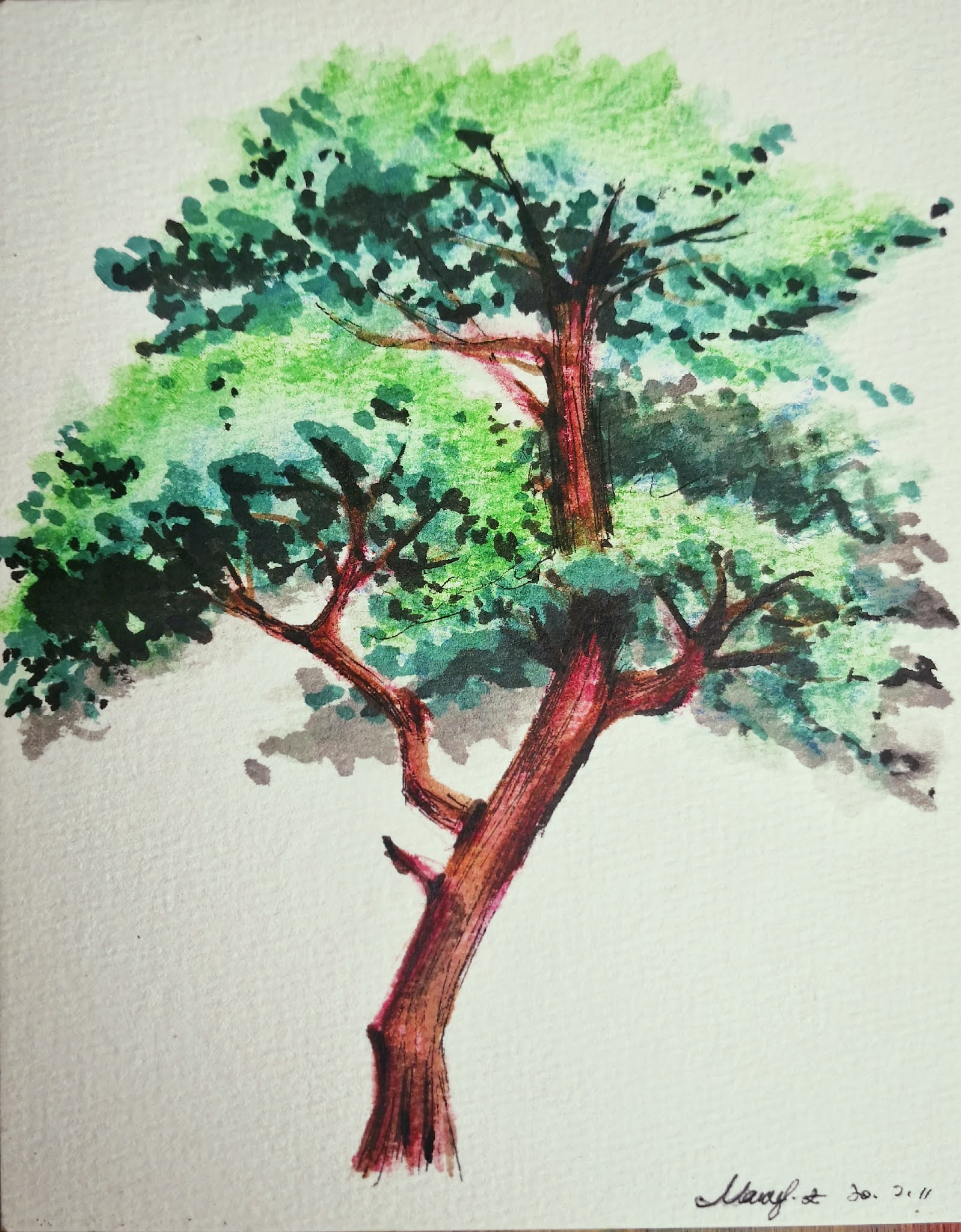 2+How to draw a watercolor tree step by step tutorial easy