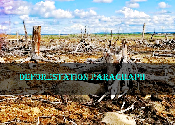 Deforestation paragraph for students - The Endless Journey Of Knowledge ...