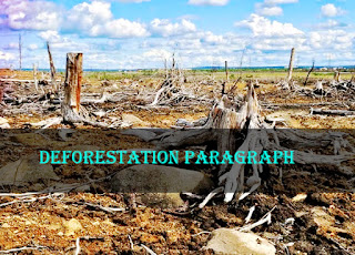 Deforestation paragraph for students - The Endless Journey Of Knowledge ...