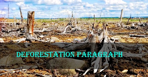 Deforestation paragraph for students - The Endless Journey Of Knowledge ...