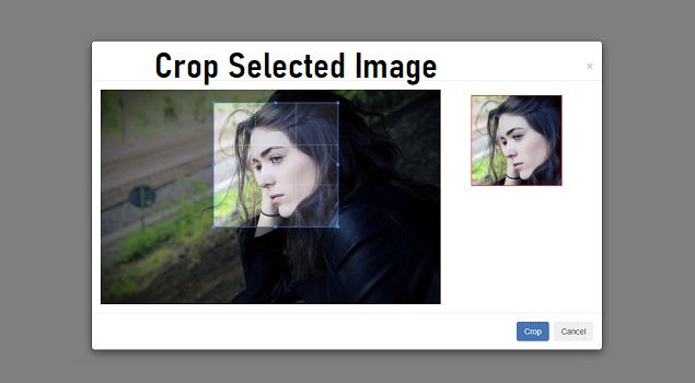Php Crop Image While Uploading With Cropper Js Webslesson