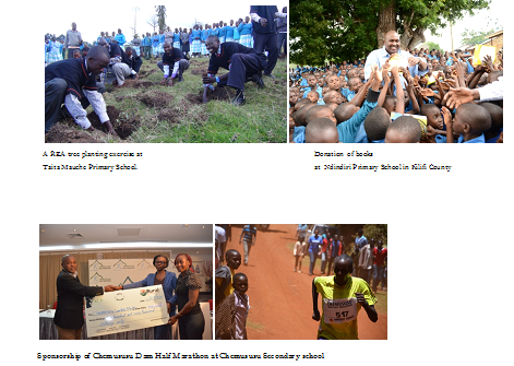 Rural Electrification Authority: 2016