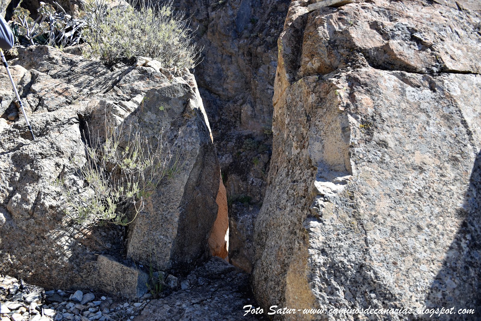 Camino entre Risco Blanco y La Fuente de los Cascajales. - Caminos de ...