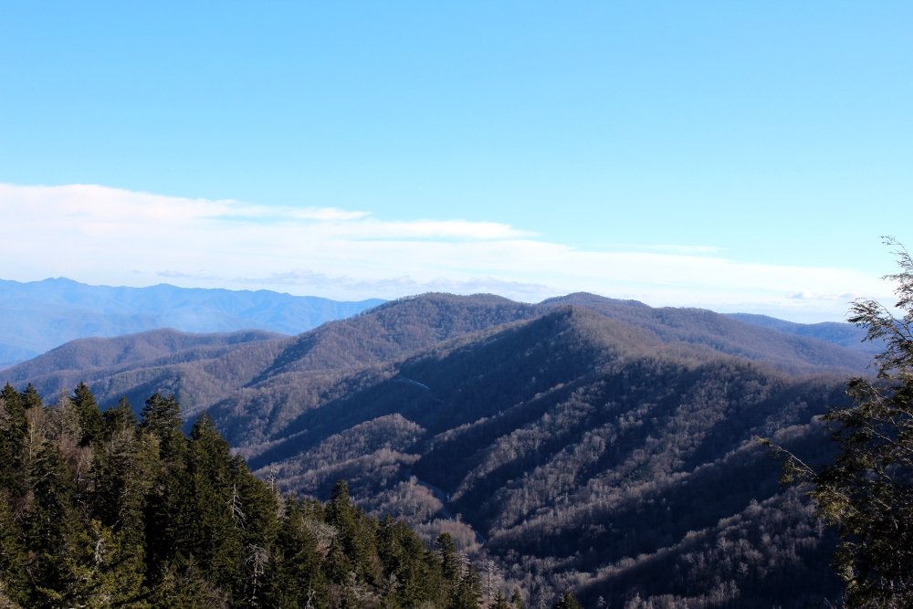 Illinois Wisconsin Fishing: great smoky mountains national park