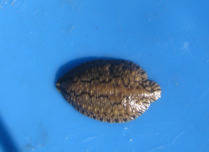 Ruthlynn's World: 2012-05-27