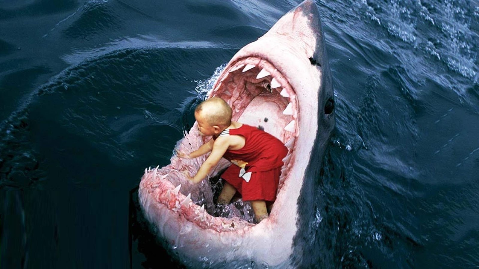Amazing Videos: Unbelievable Child in Mouth's Shark ~ VWMS