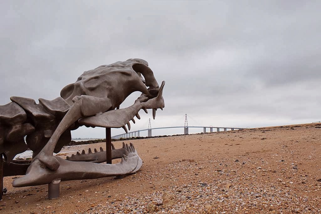 Ocean Serpent Washes Up on French Shores ~ Kuriositas