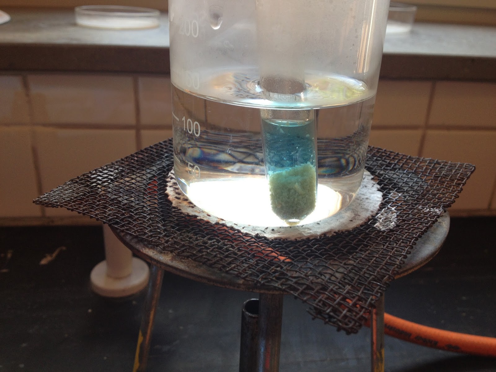 Noors digitala portfolio: Ämnen i vår skollunch