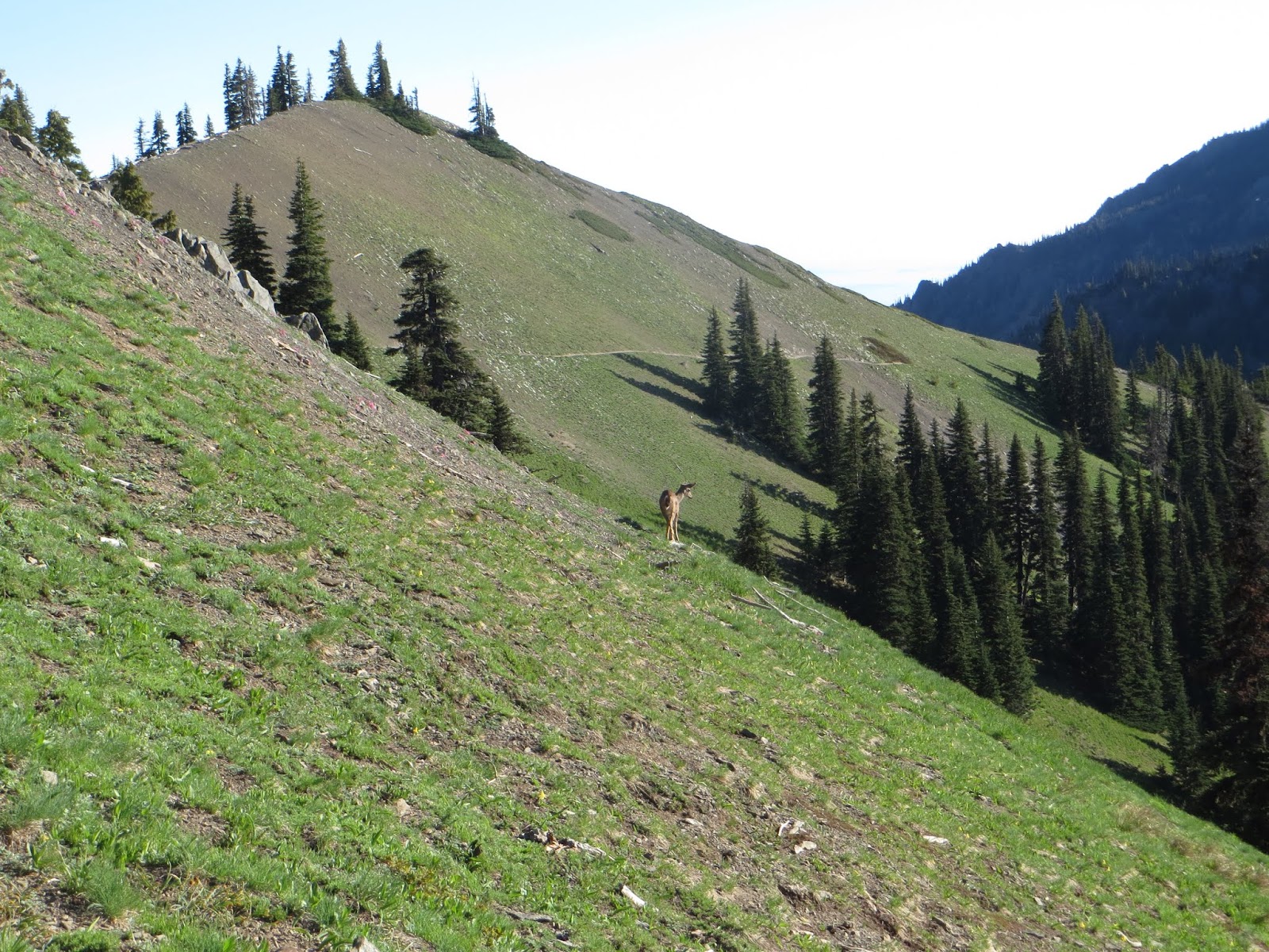 Three Hiking Sisters: Klahhane Ridge Trail from Hurricane Ridge