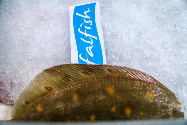 Through the Gaps! - Newlyn Fishing News: "A fish-frail of stout" on ...