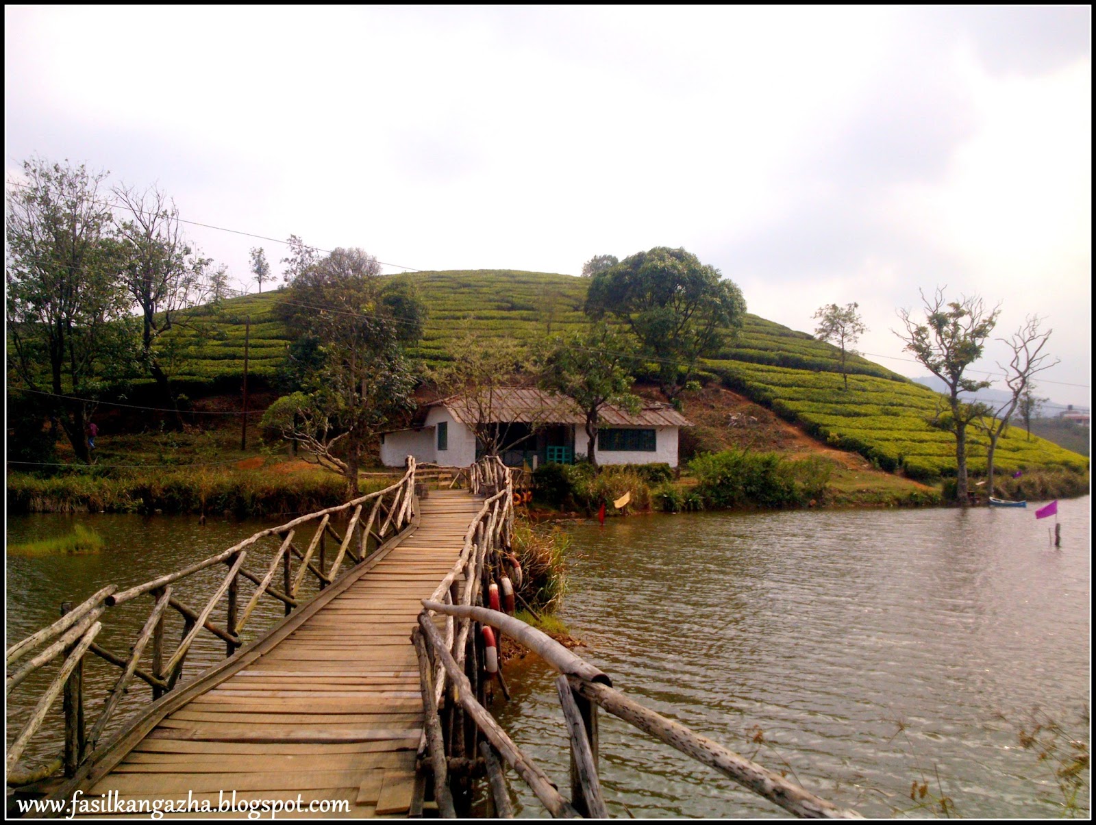 Fasil's: Tea Garden Lake , Vagamon