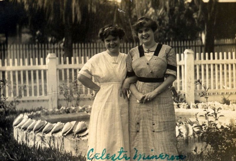 33 Found Snaps That Show Daily Life of Edwardian Women ~ Vintage Everyday