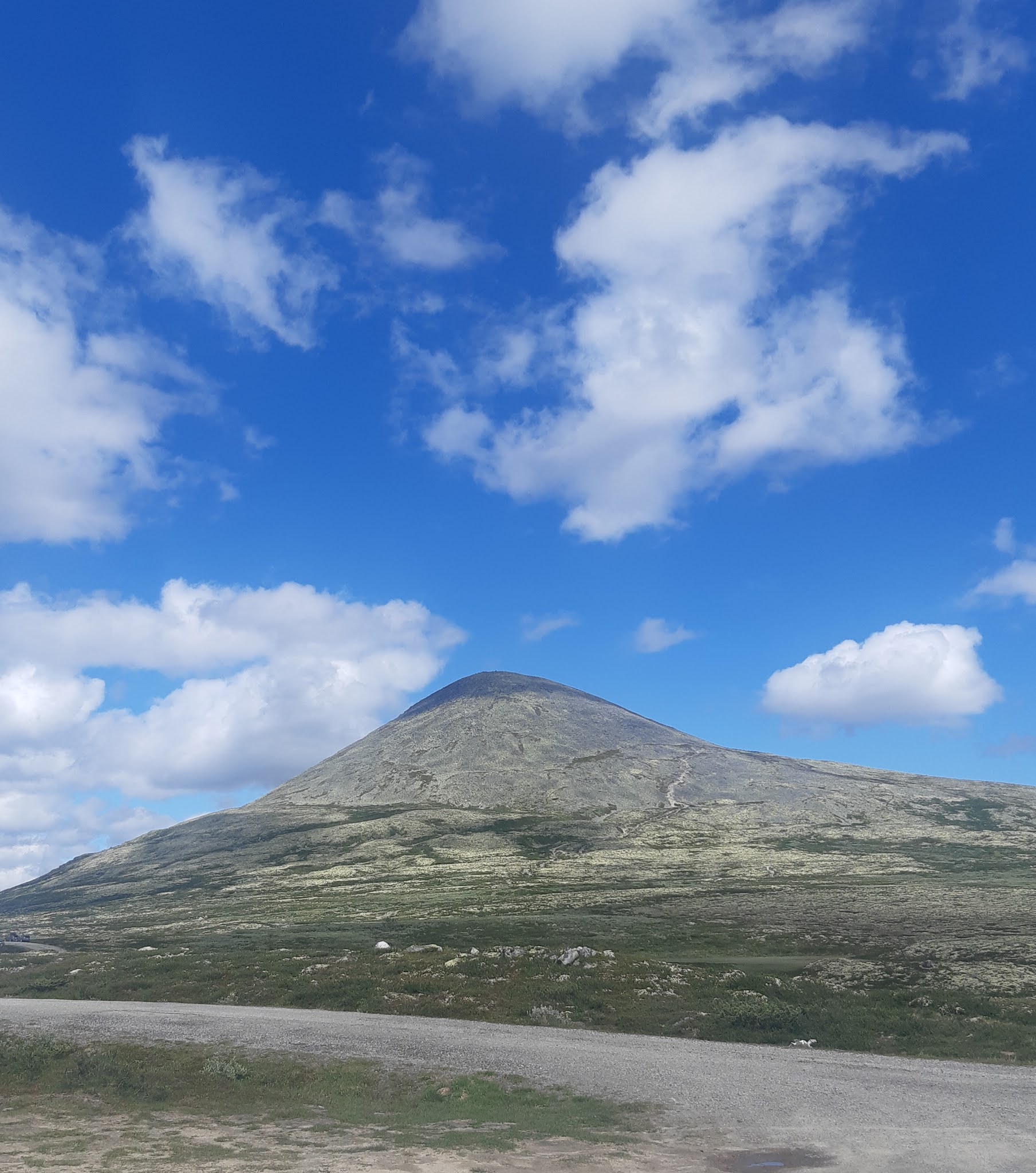 Kjentmann: Muen-toppen, Venabygsfjellet