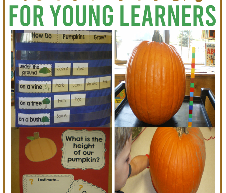 Pumpkin Fun! {Math and Literacy Activities with Pumpkins!} | Mrs ...