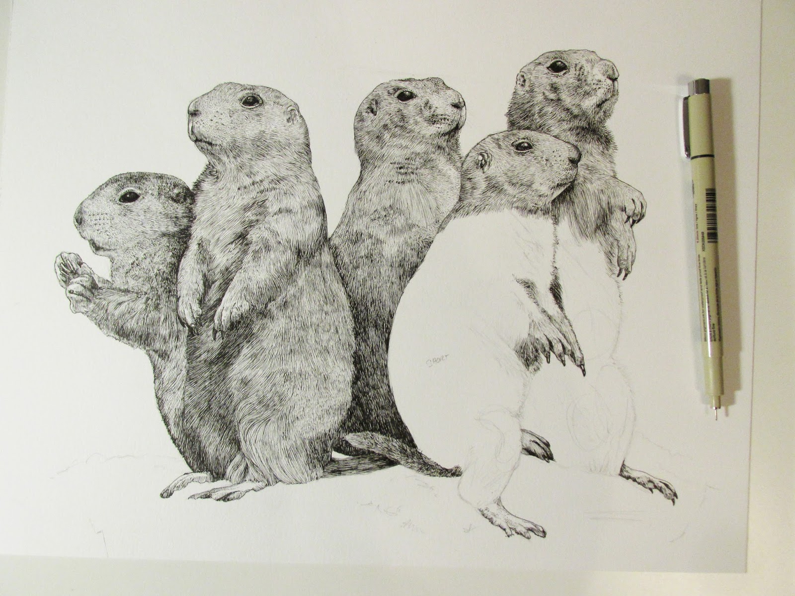 Creating Pen and Ink Artwork: Building a Prairie Dog family