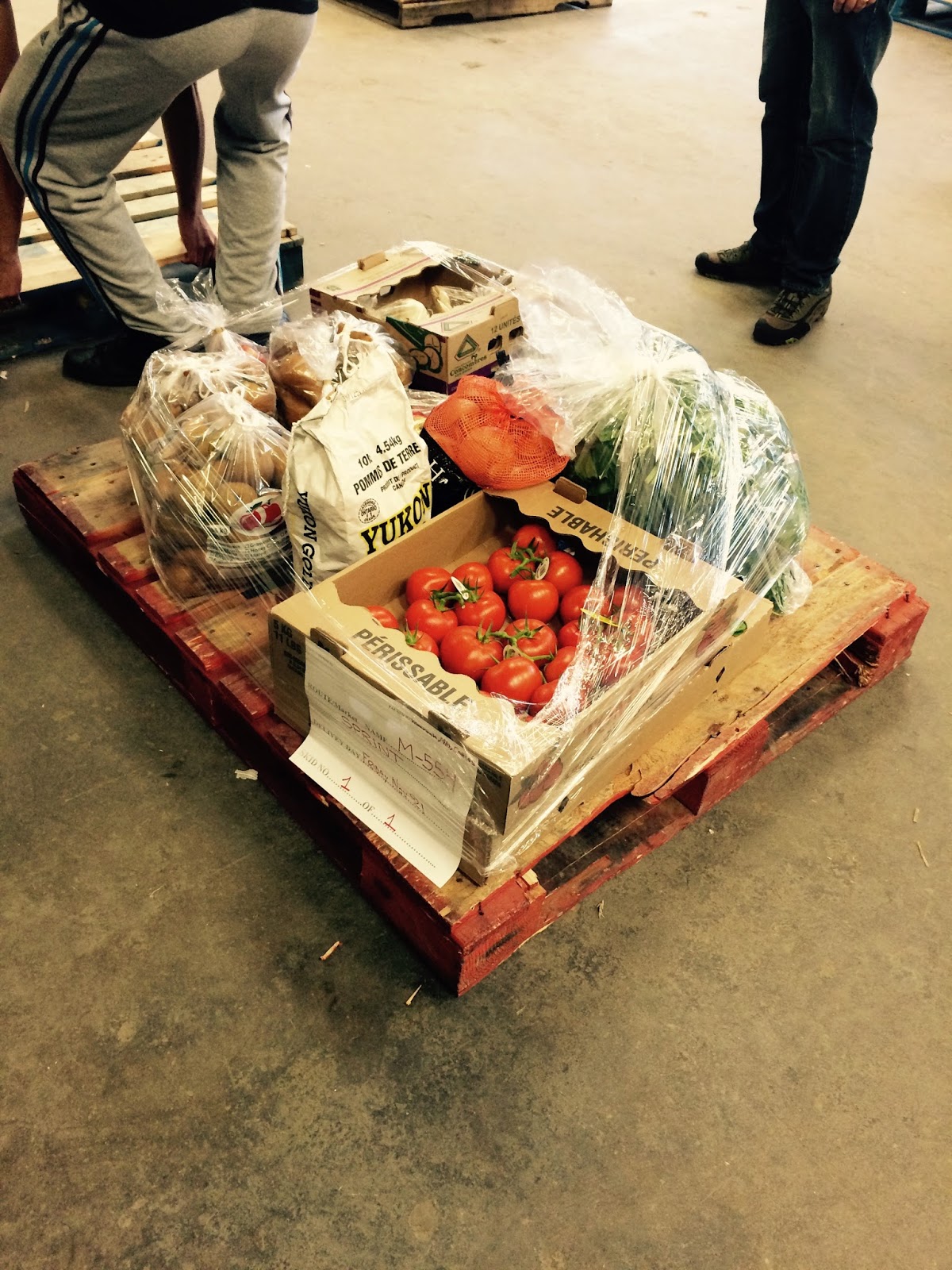 Volunteering vs Satisfaction: Helping Foodshare Toronto