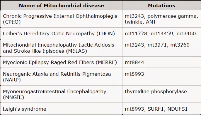 CATECHIZE: Mitochondrial Diseases their Types, Diagnosis & Treatment ...