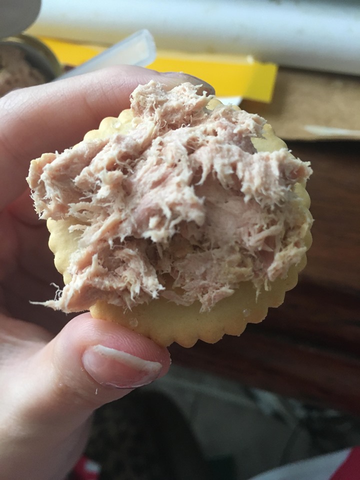 Adorable Fluff: Ocean's. Light Tuna SnacKit Review.