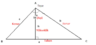 Üçgenler Nedir? Çeşitleri ve Özellikleri, Konu Anlatım, Ders Notları ...