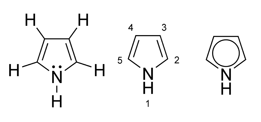 BIOLOGIA PARA A VIDA : abril 2021