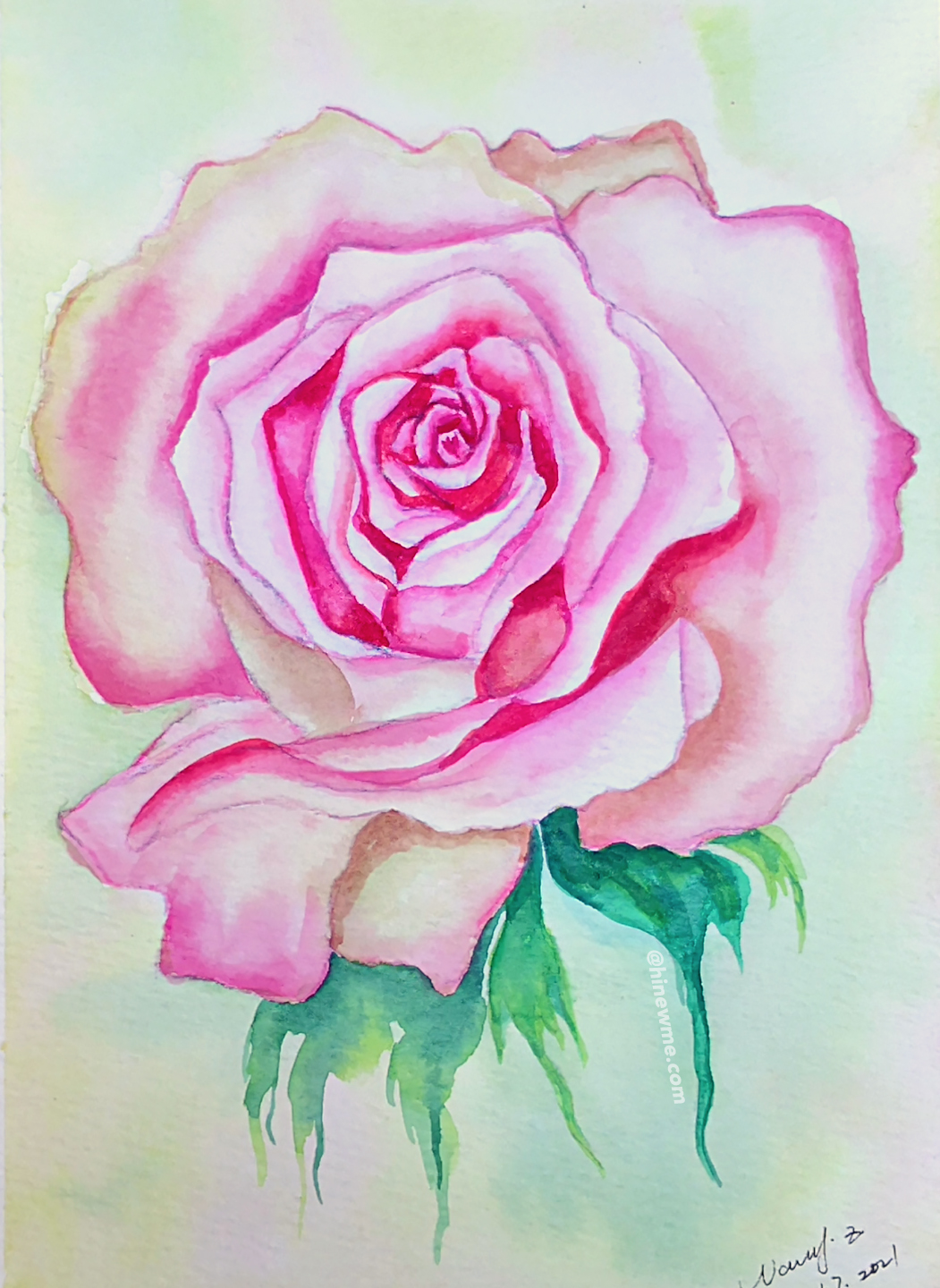 How to draw a watercolor rose tutorial step by step easy, come to see ...