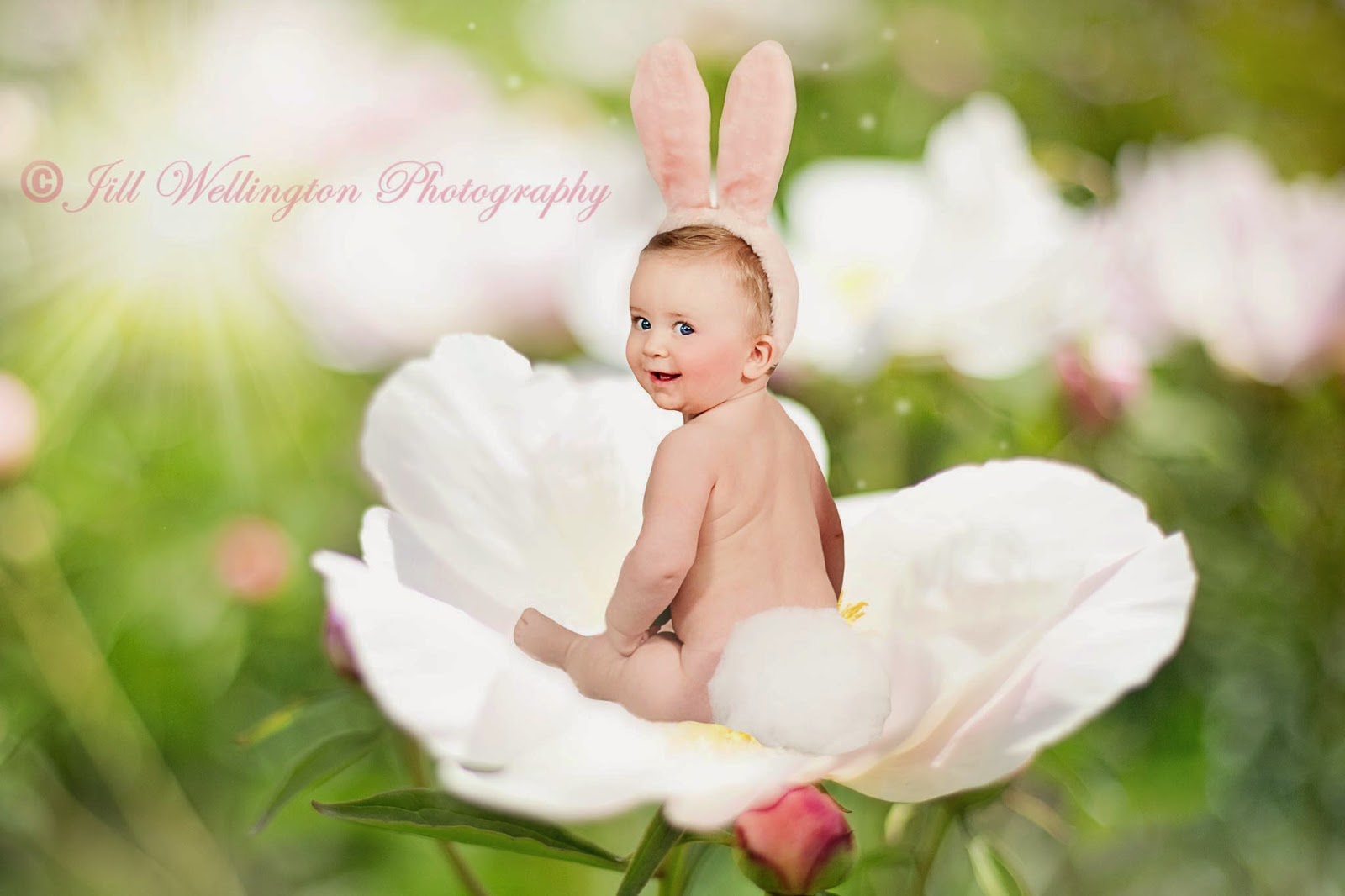For Photographers: Flower Babies