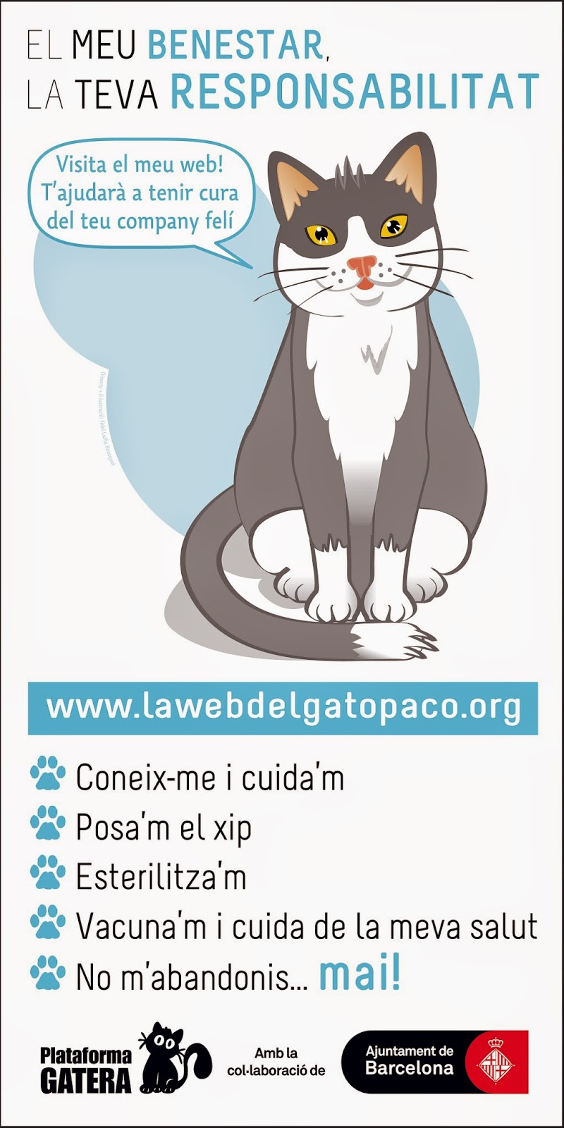 Plataforma GATERA: El Gato Paco irromp en campanya per buscar el suport ...