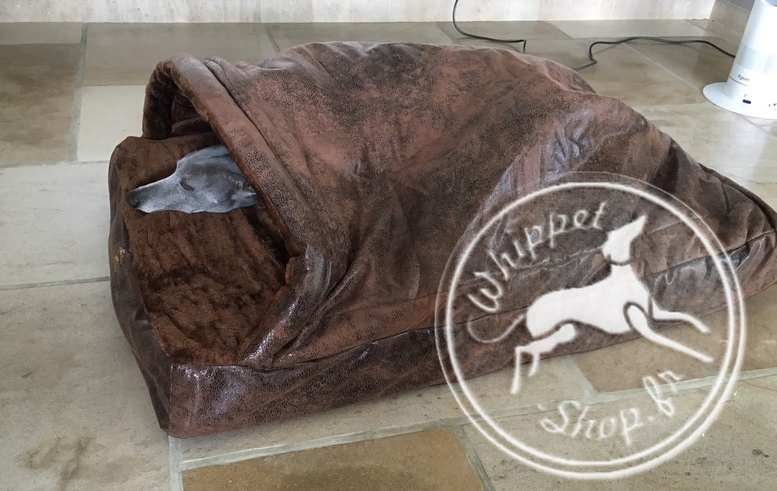 Whippet-shop-fr