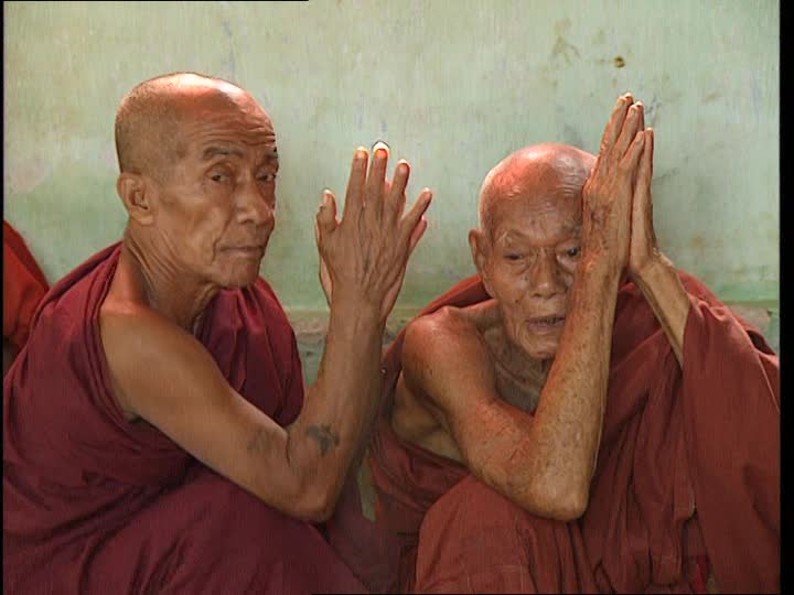 Asociacion Chi de Andalucia: LA COMPASIÓN TRANSFORMA, SANA Y NUTRE