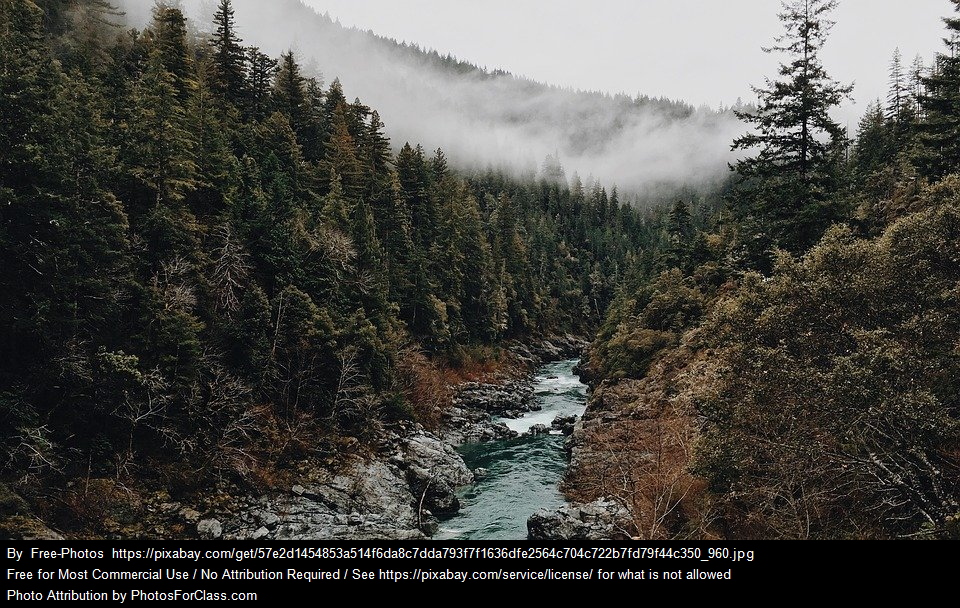 6th Grade Language Arts: November 2019