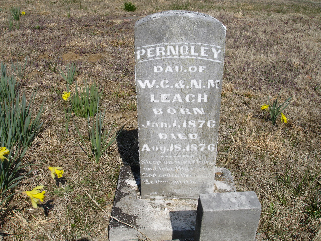 Ohio County, Kentucky History: William Crown Leach