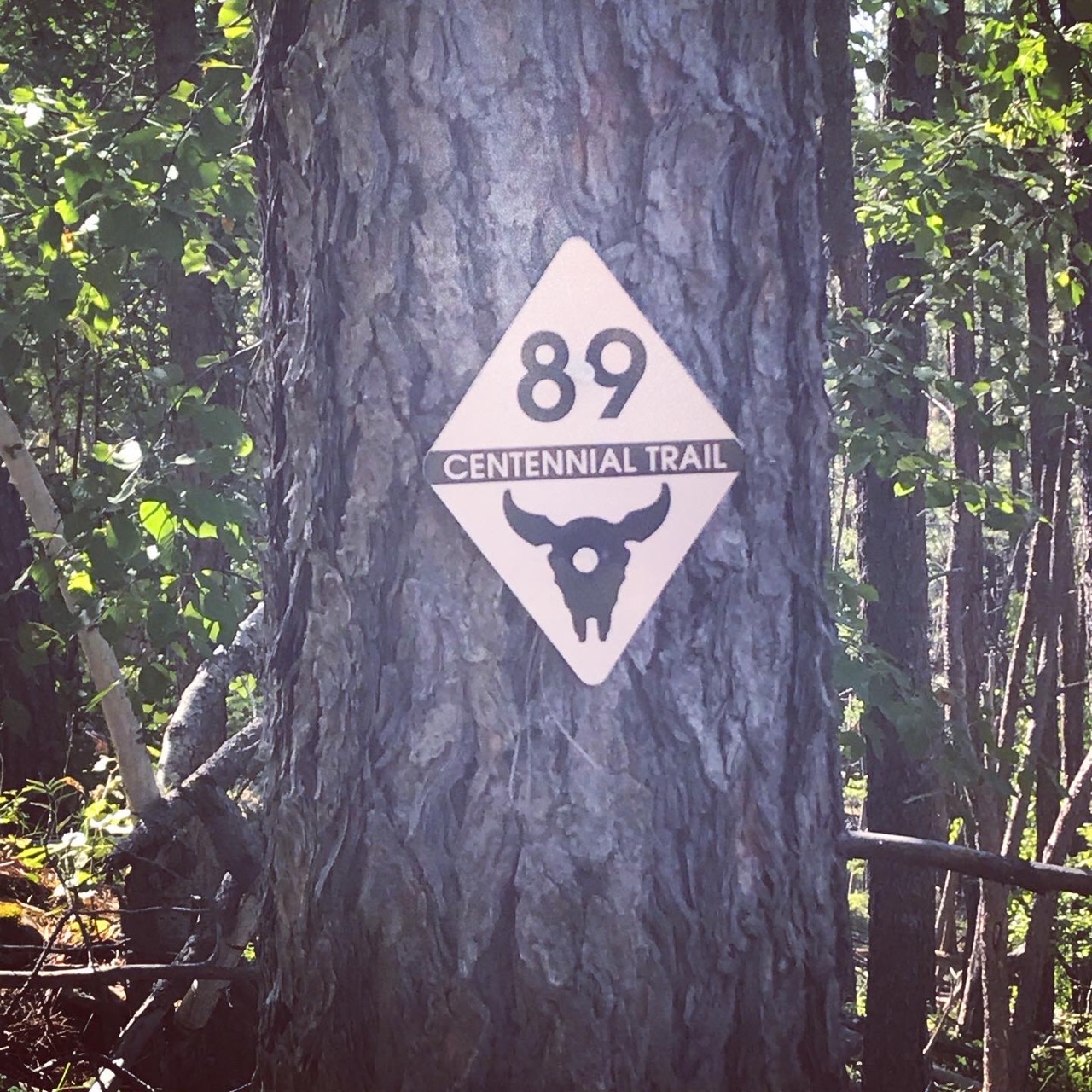 Ann Vinciguerra: Thru-Hiking the Centennial Trail