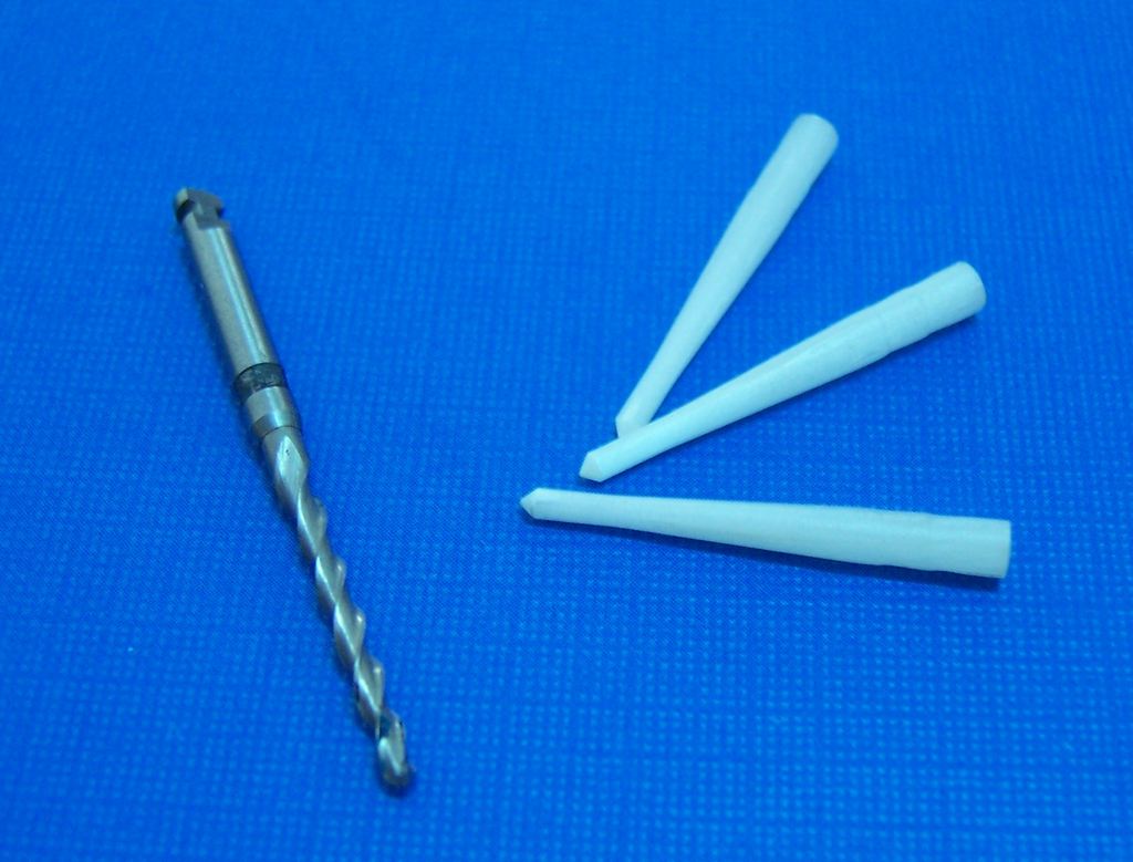 blog do Dr Daniel Nunes: Pinos intra-radiculares estéticos / Intracanal ...