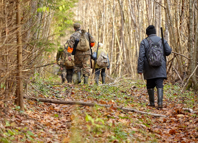 Character Sketch of Vera in the Open Window